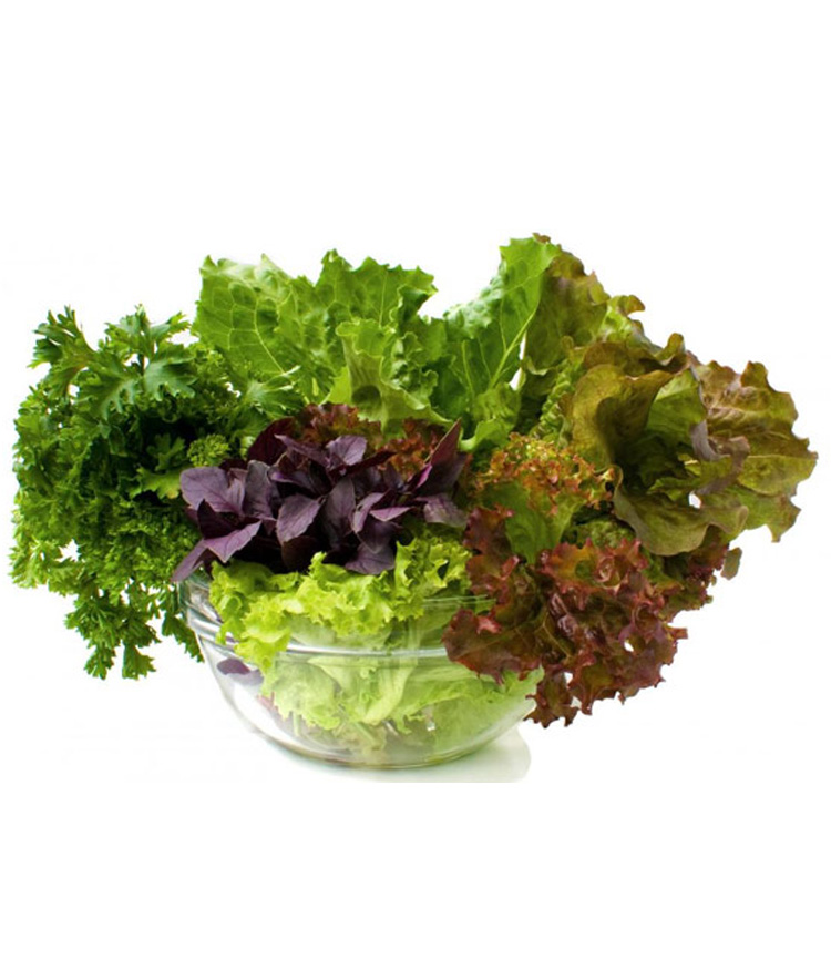 Panier vert bio (salades, plantes aromatiques) | Ferme Akemrane